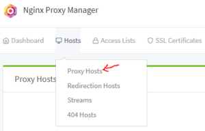 How to combine Nginx Proxy Manager with Cloudflare to access your ...