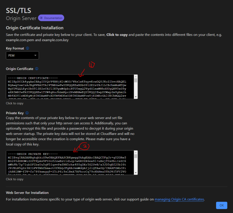 How To Combine Nginx Proxy Manager With Cloudflare To Access Your 2142